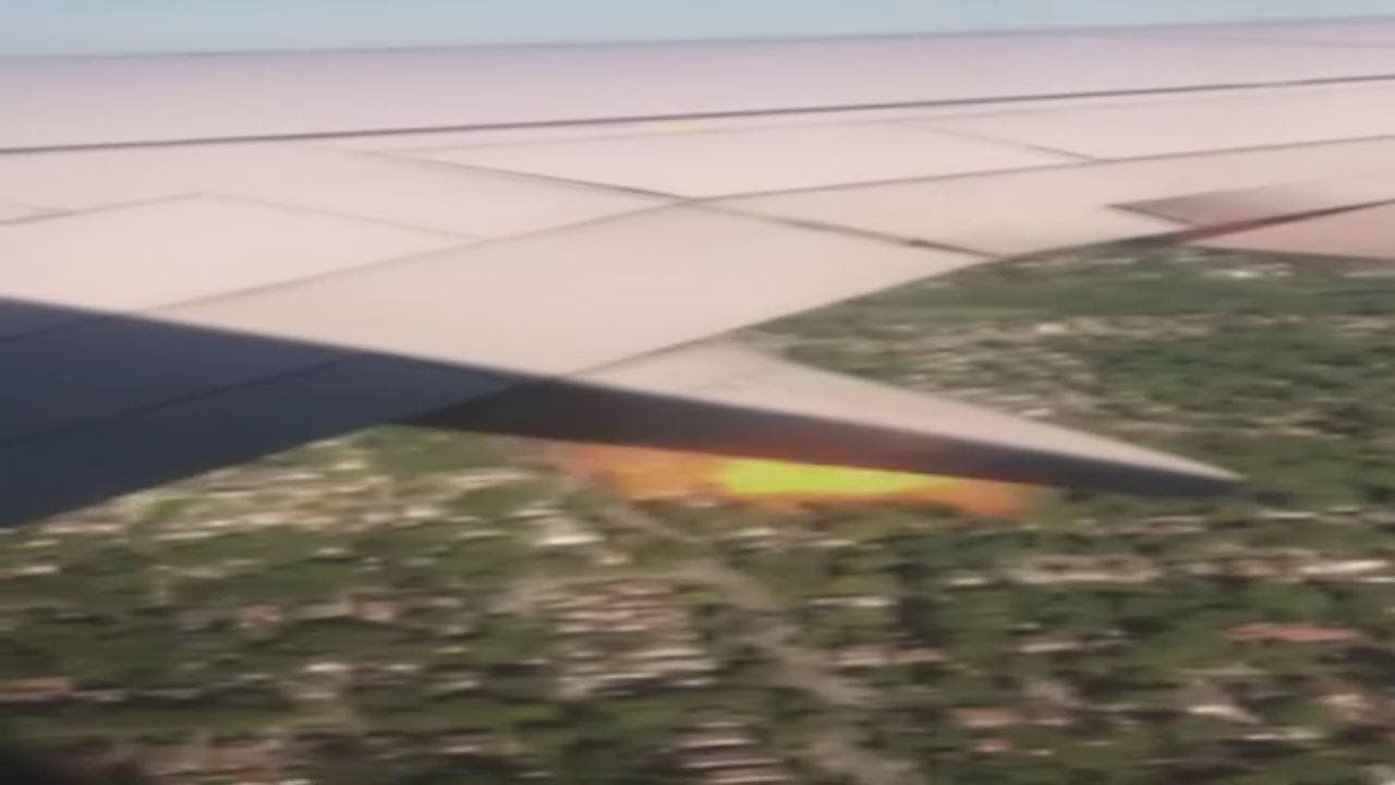 WATCH: Plane's engine spits fire after bird strike | FOX 13 Tampa Bay