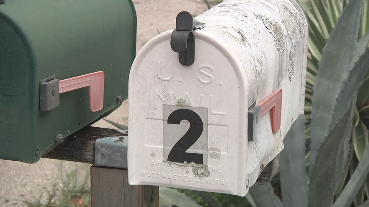 Man sets rat trap to catch mail thief; snaps postal worker | FOX 13 ...