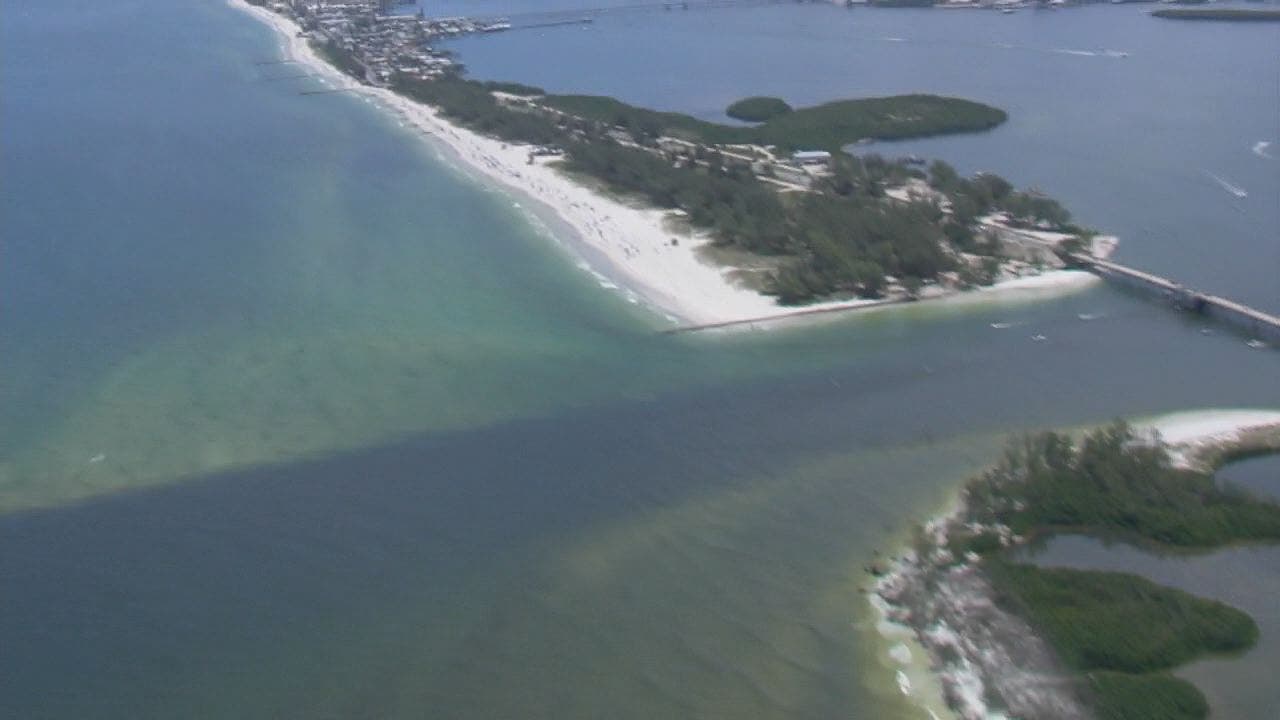 Red tide creeps north, reaching Longboat Key | FOX 13 Tampa Bay