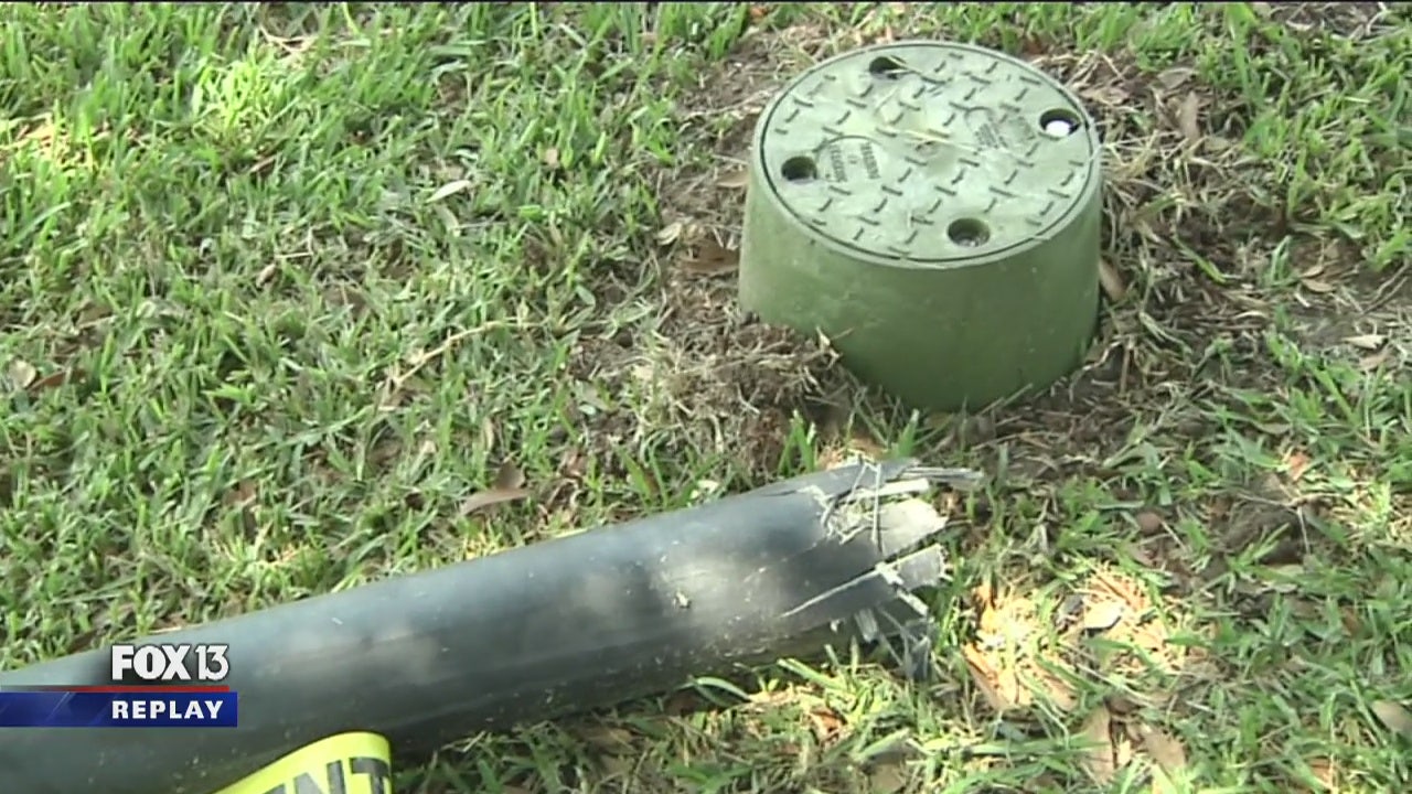 Camera catches vandals knocking down street lights | FOX 13 Tampa Bay