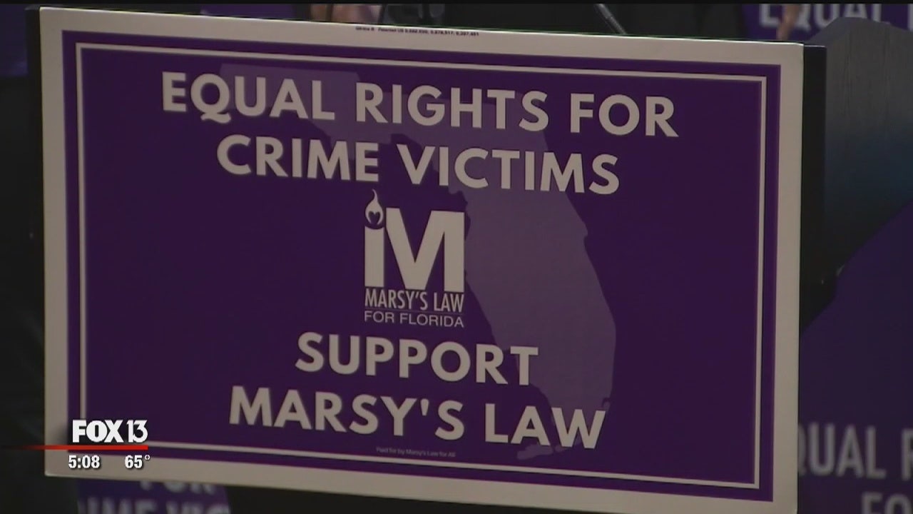 Marcy's Law throws curve ball to legal community | FOX 13 Tampa Bay