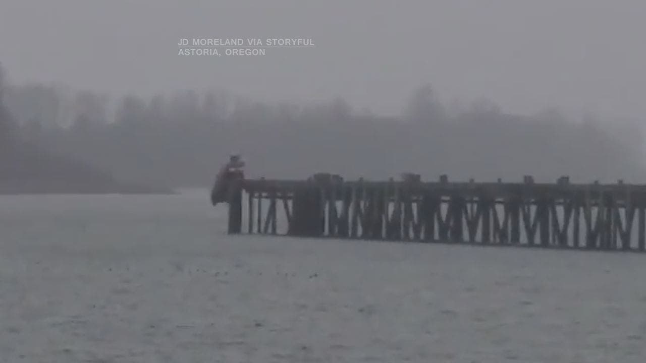 WATCH: Man drives off pier to avoid police, officials say | FOX 13 ...