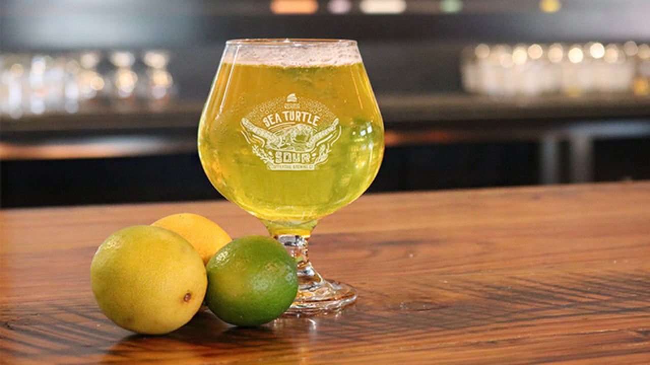 Coppertail's 'Sea Turtle Sour' beer created to save endangered sea ...
