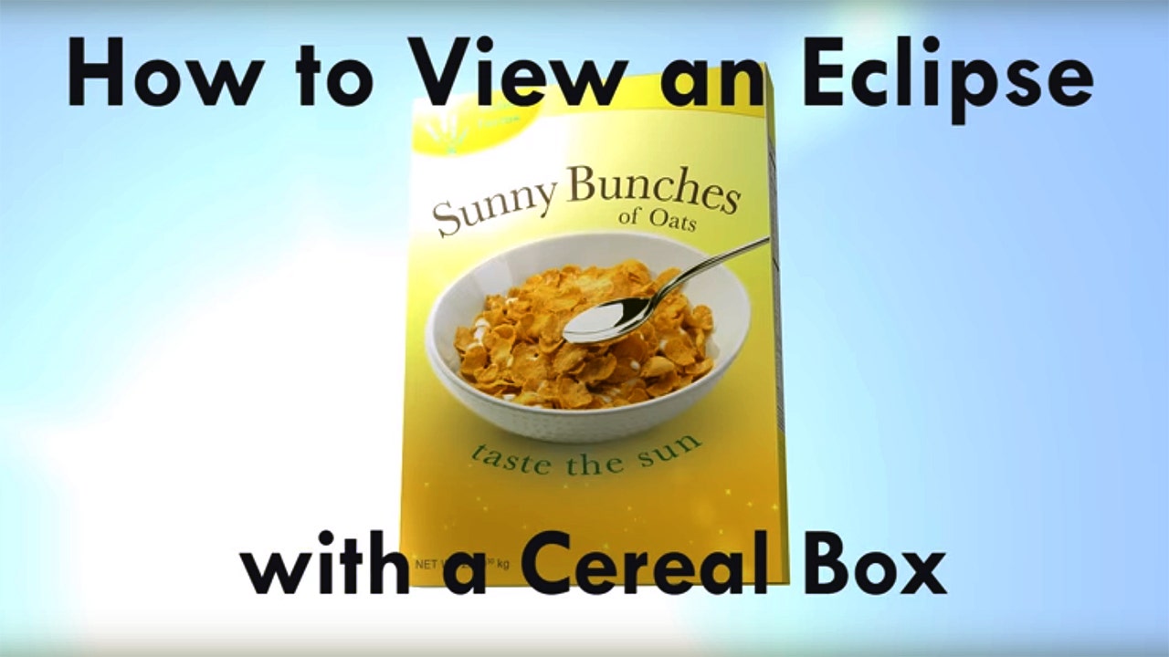 How to make pinhole projector to view solar eclipse | FOX 13 Tampa Bay