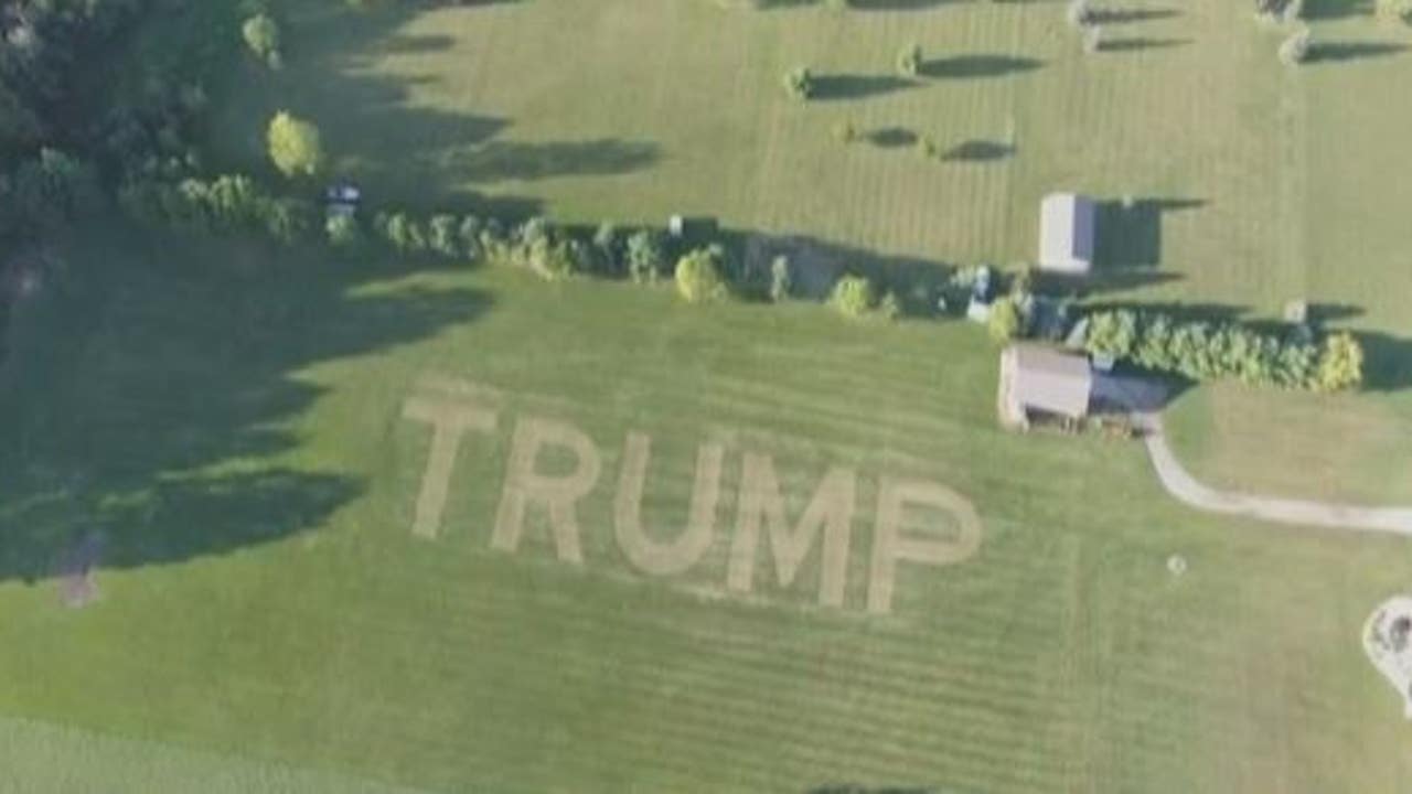 Massive Trump sign mowed into lawn | FOX 13 Tampa Bay