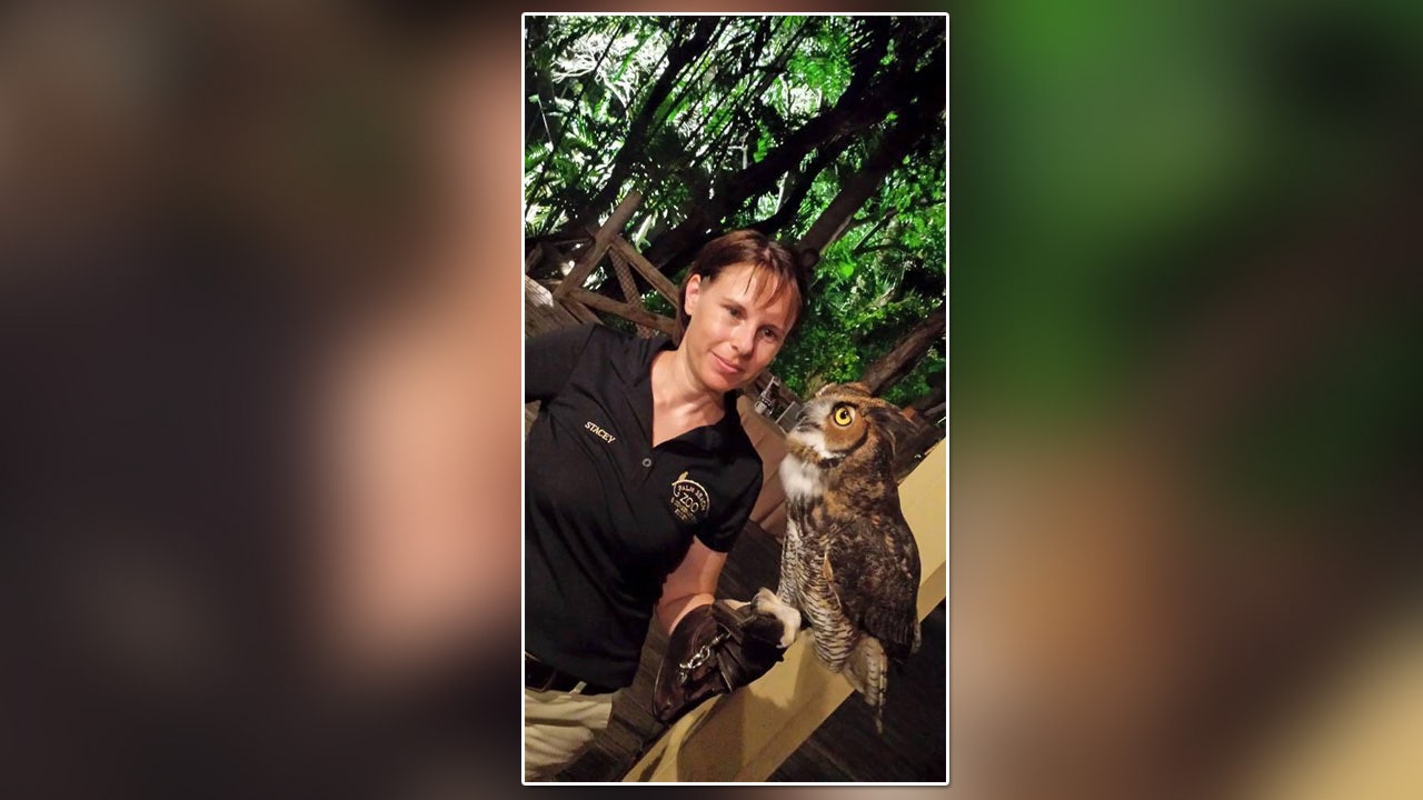 Florida zoo to reopen after deadly tiger attack | FOX 13 Tampa Bay