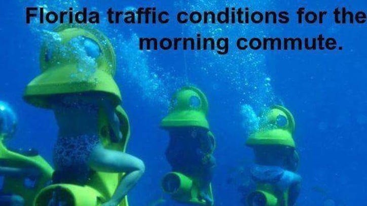 On a lighter note, the flooding memes | FOX 13 Tampa Bay