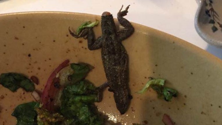 Woman claims she found dead lizard in her salad made with store-bought ...