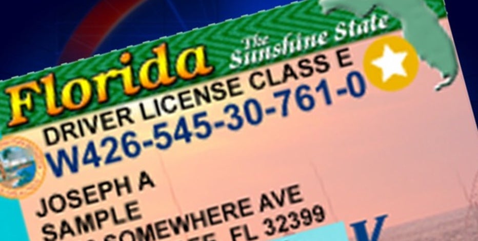 drivers permit florida