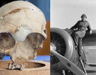 earhart bones
