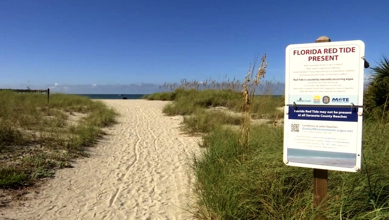 FWC: High concentrations of red tide detected in Sarasota County | FOX ...