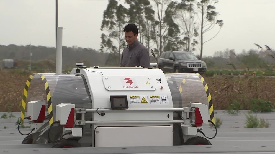 Robot protects strawberry crops from fungus and mold with UV light ...