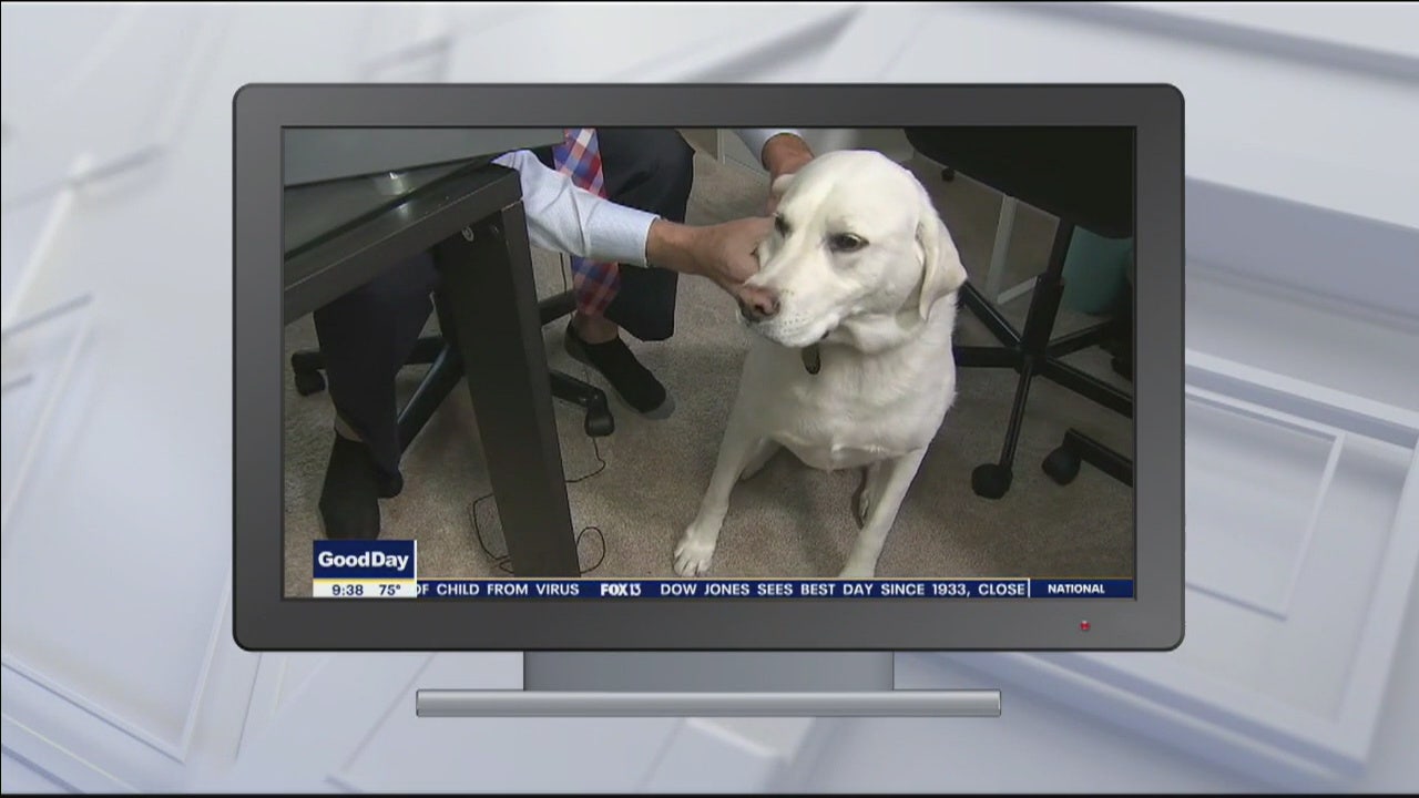 Good Day Goodies: March 27, 2020