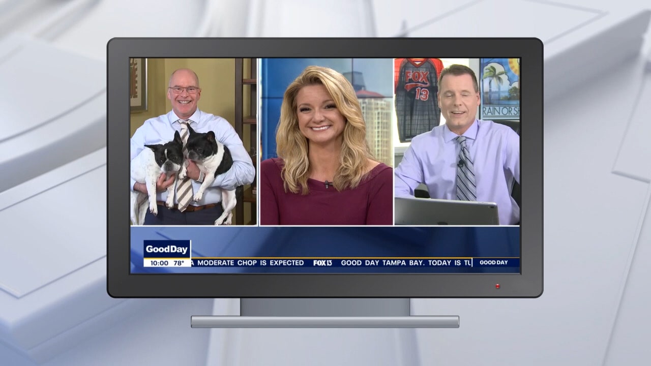 Good Day Goodies: April 3, 2020