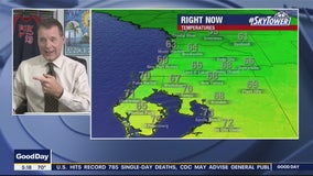 Weather Forecast | FOX 13 Tampa Bay