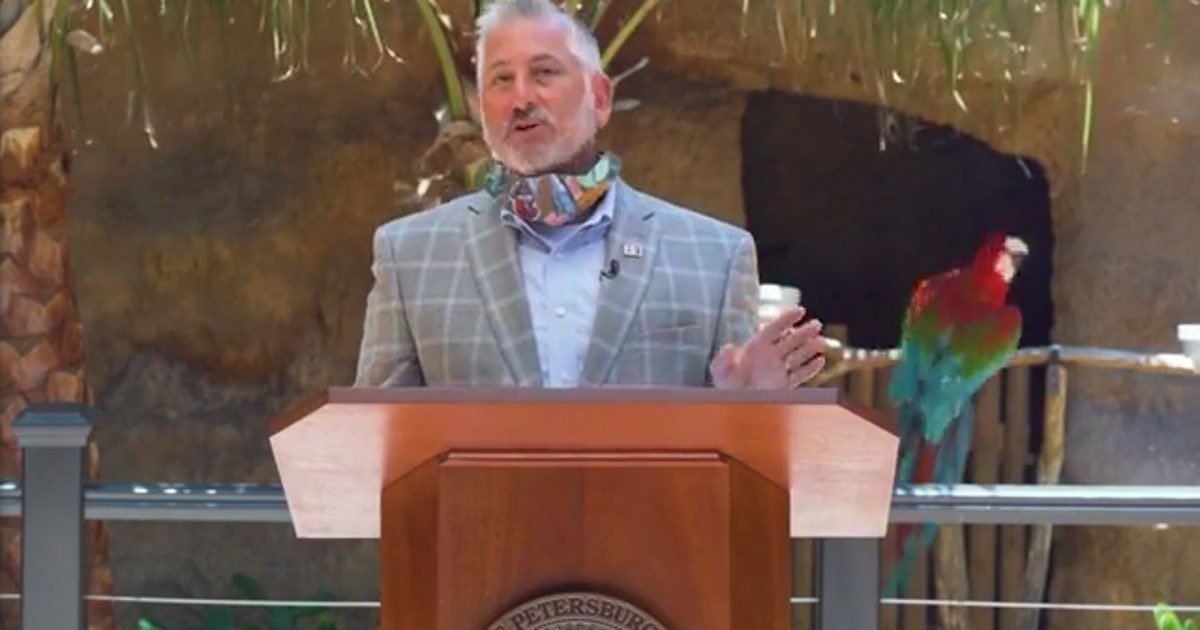 Parrot steals the spotlight during St. Pete mayor's daily COVID-19 ...