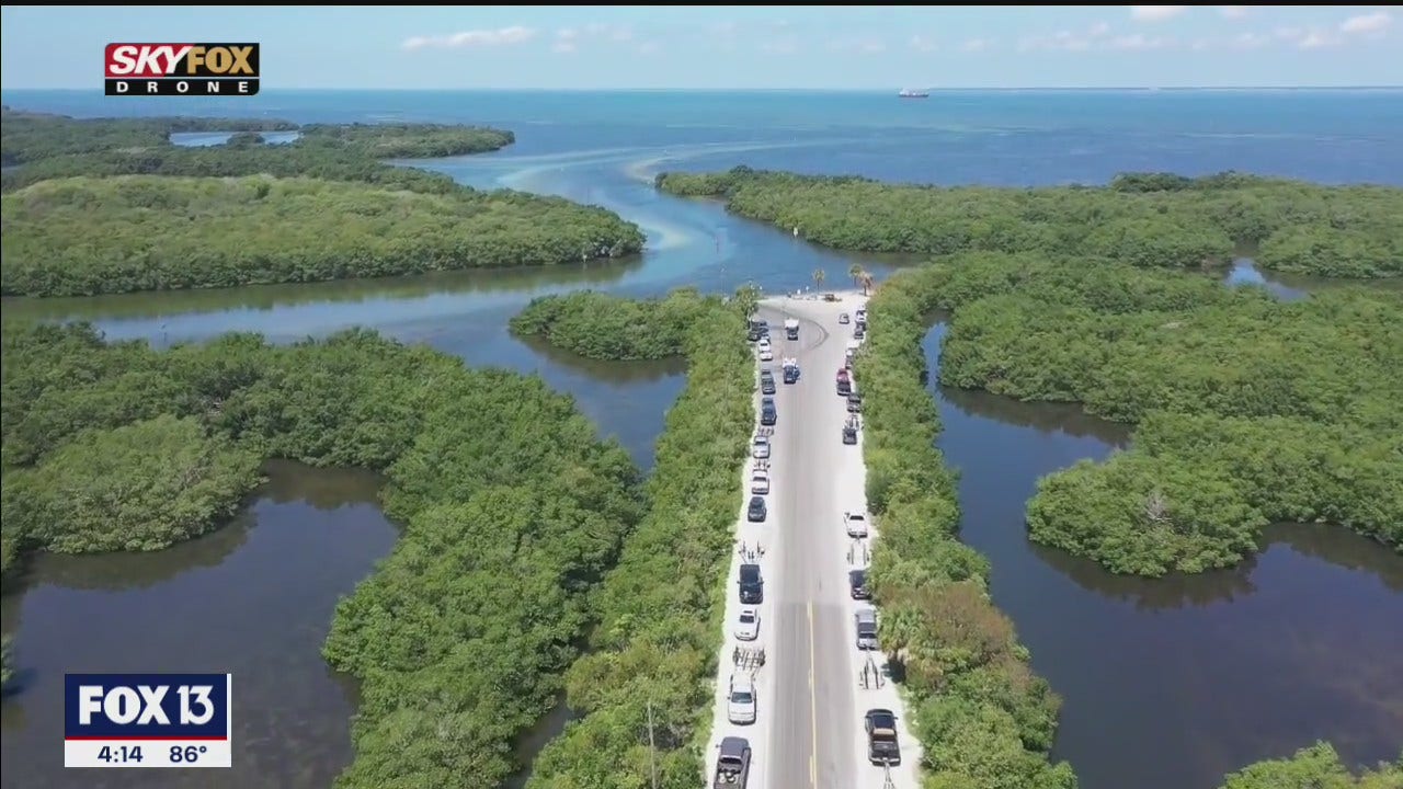 Drone Zone: Cockroach Bay