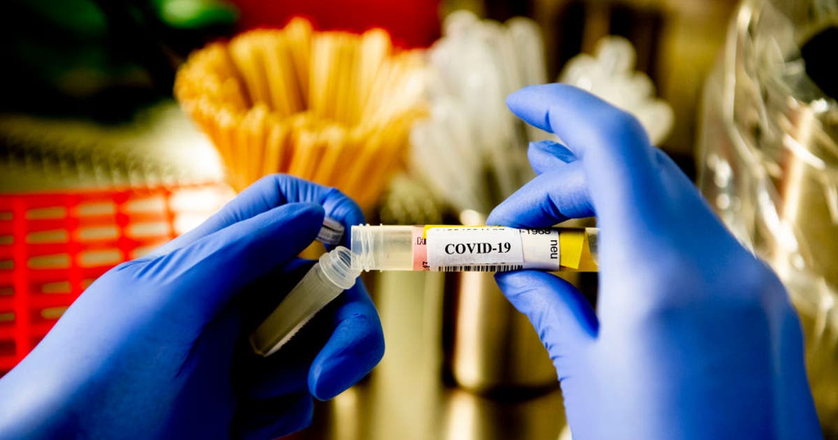 What are the different types of COVID-19 tests? | FOX 13 Tampa Bay
