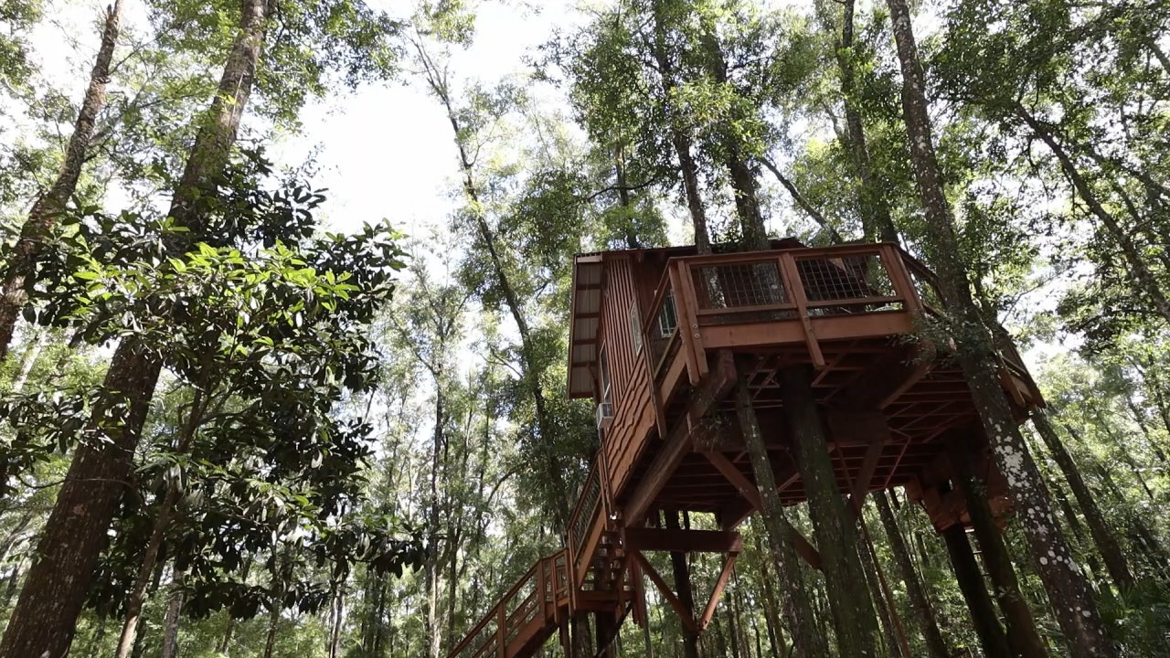 Old Town treehouse is the perfect Florida getaway | FOX 13 Tampa Bay