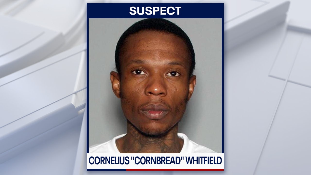 St. Pete police looking for suspect in overnight murder | FOX 13 Tampa Bay