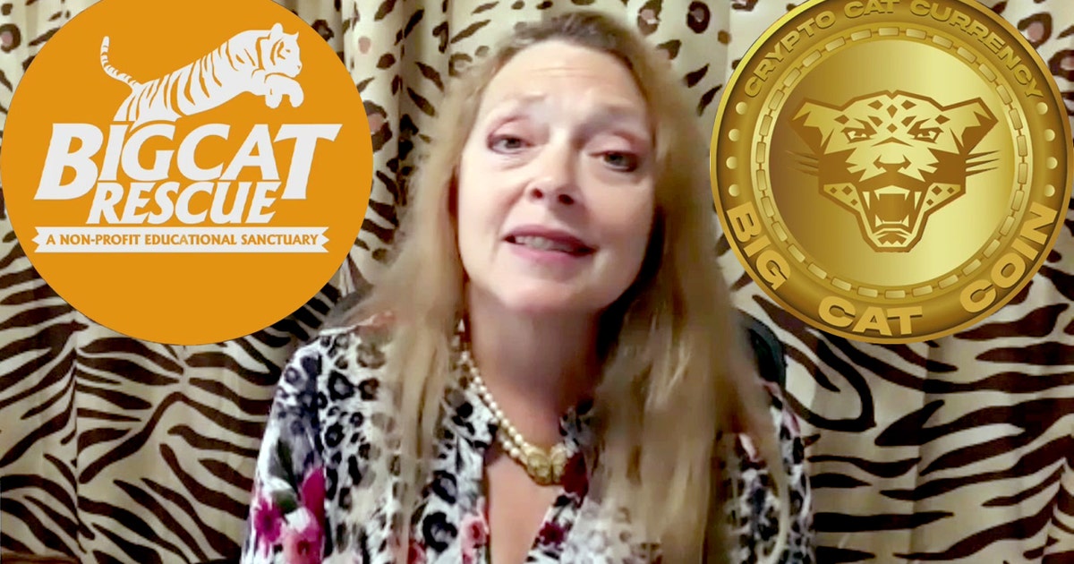 Big Cat Rescue's Carole Baskin announces Big Cat Coin 'crypto-purrency ...