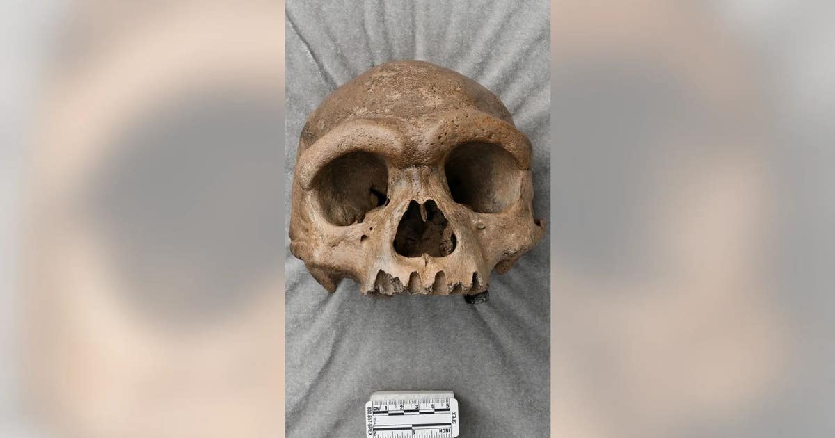 'Dragon Man' claimed as potential new human species after analysis of ...