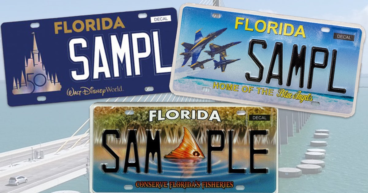 Florida fisheries license plate gets go-ahead; Disney World and Blue ...