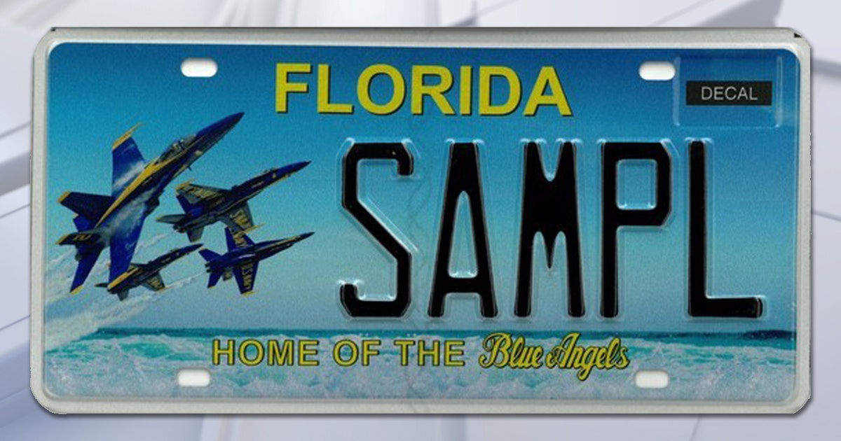 Blue Angels license plate cleared for takeoff | FOX 13 Tampa Bay