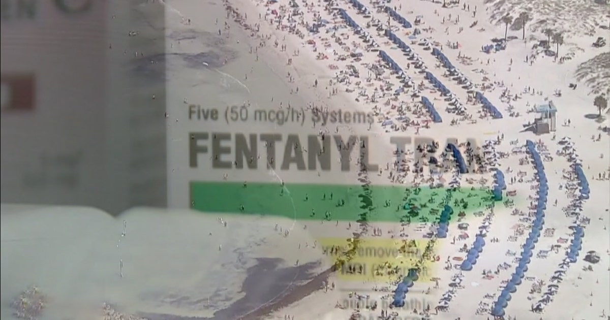 Spring breakers warned of possible mass overdose after fentanyl-laced ...