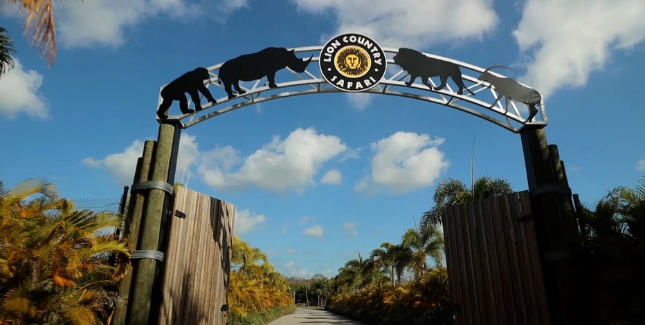 Lion Country Safari Animals