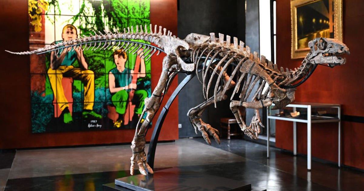 Dinosaur skeleton expected to sell for $495K at auction | FOX 13 Tampa Bay