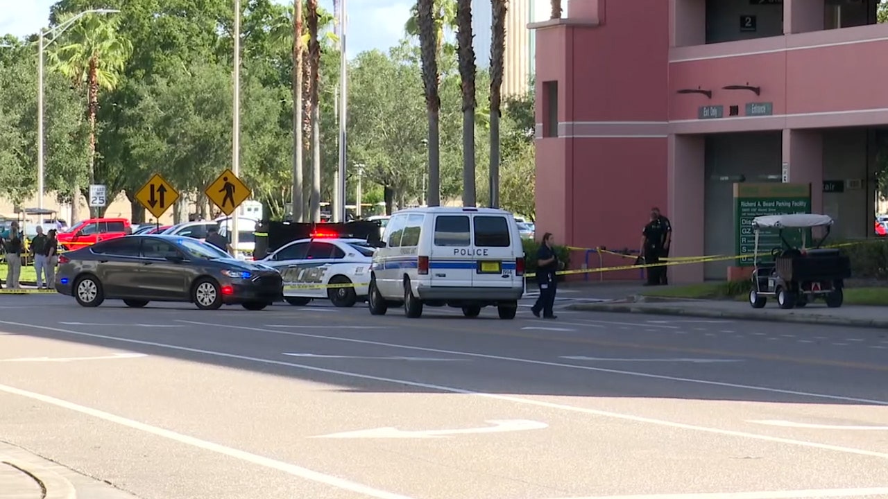 USF students, alumni urge school officials to install garage fencing ...