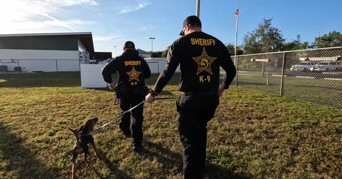 'It's a game changer': K9 training begins for PCSO's new bloodhound ...