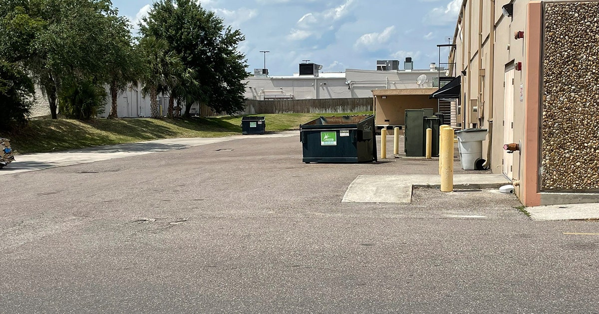 Police: Baby found in Lakeland dumpster was stillborn, woman charged ...