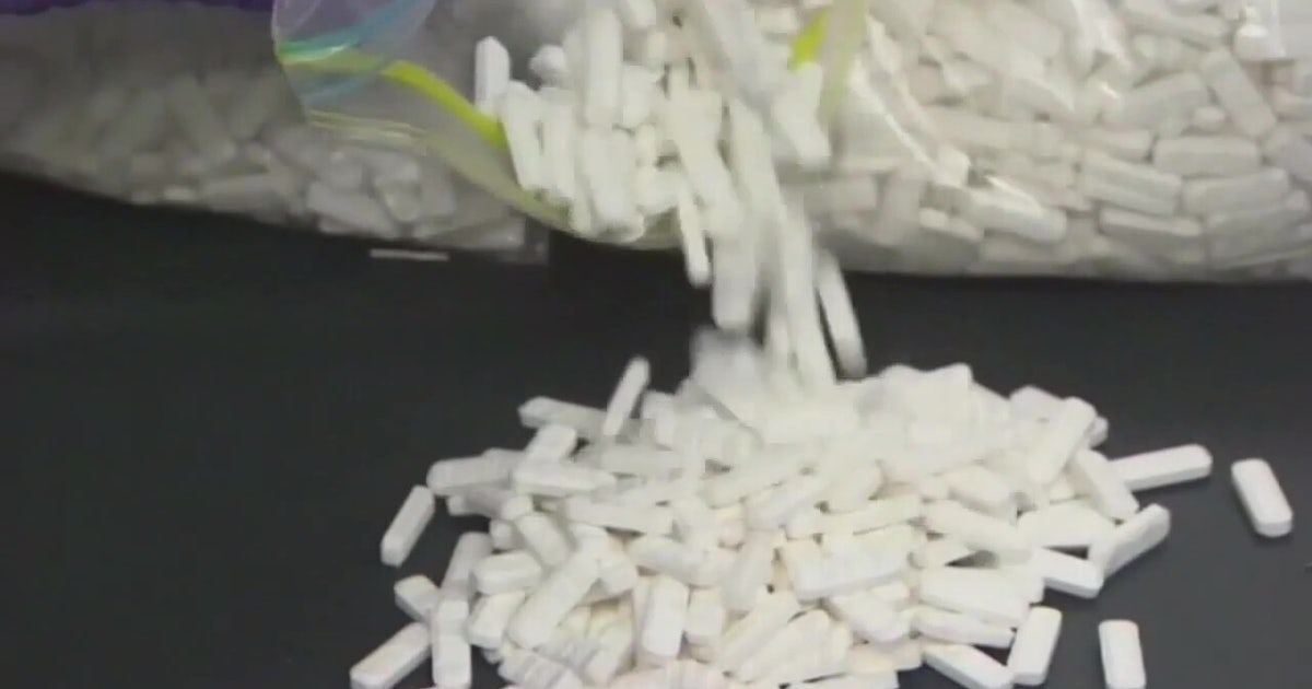 Pasco County to use settlement money to launch fund to combat opioid ...