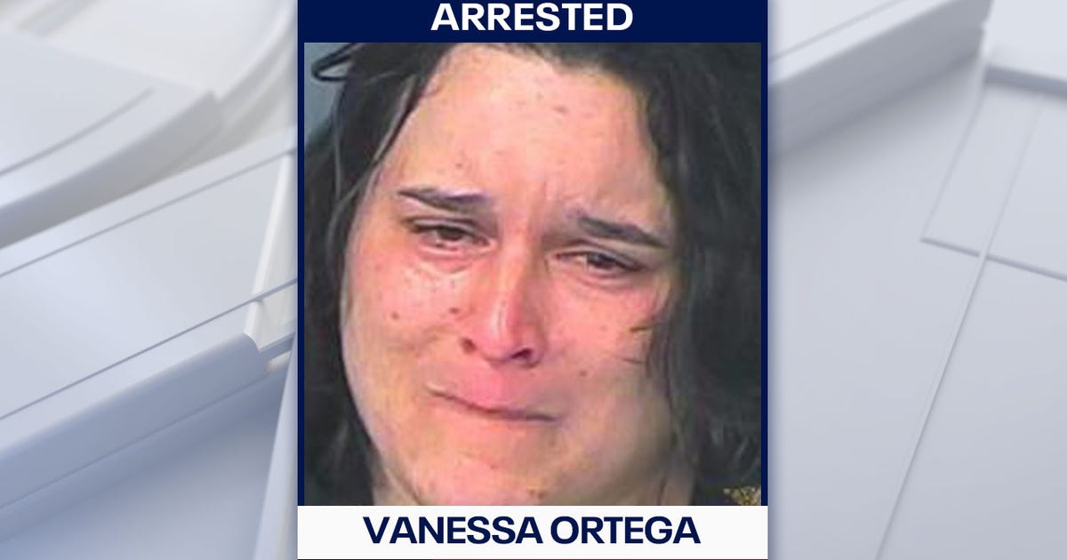 Hernando woman ‘jokingly’ tries to rob bank with toy gun before ...