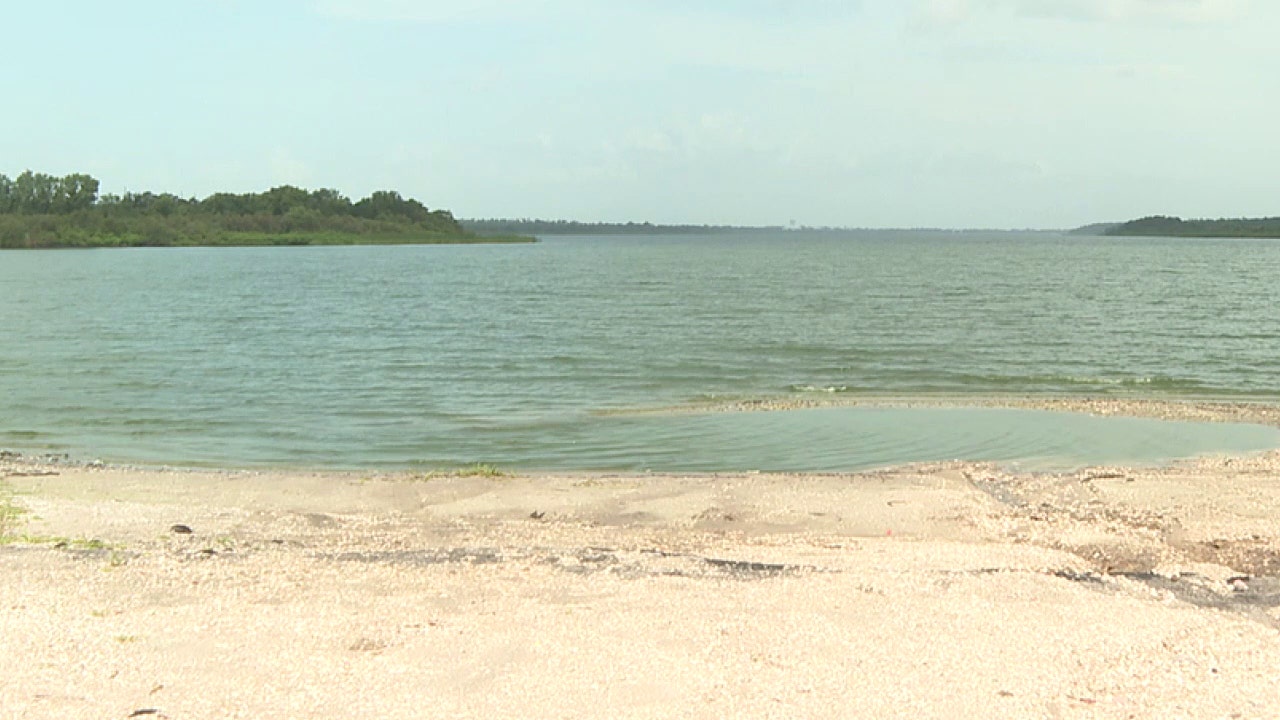 Manatee commissioners move closer to ending wetland protections despite ... Manatee commissioners move closer to ending wetland protections despite ...