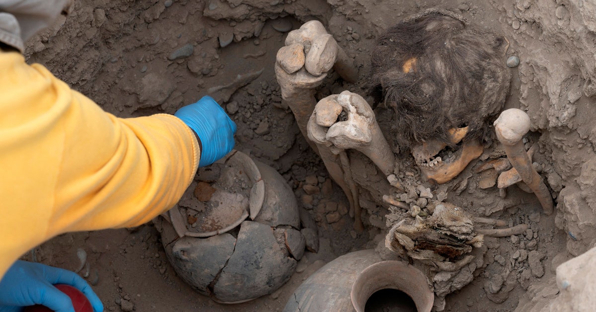 Workers uncover 8 mummies and pre-Inca objects while expanding gas ...