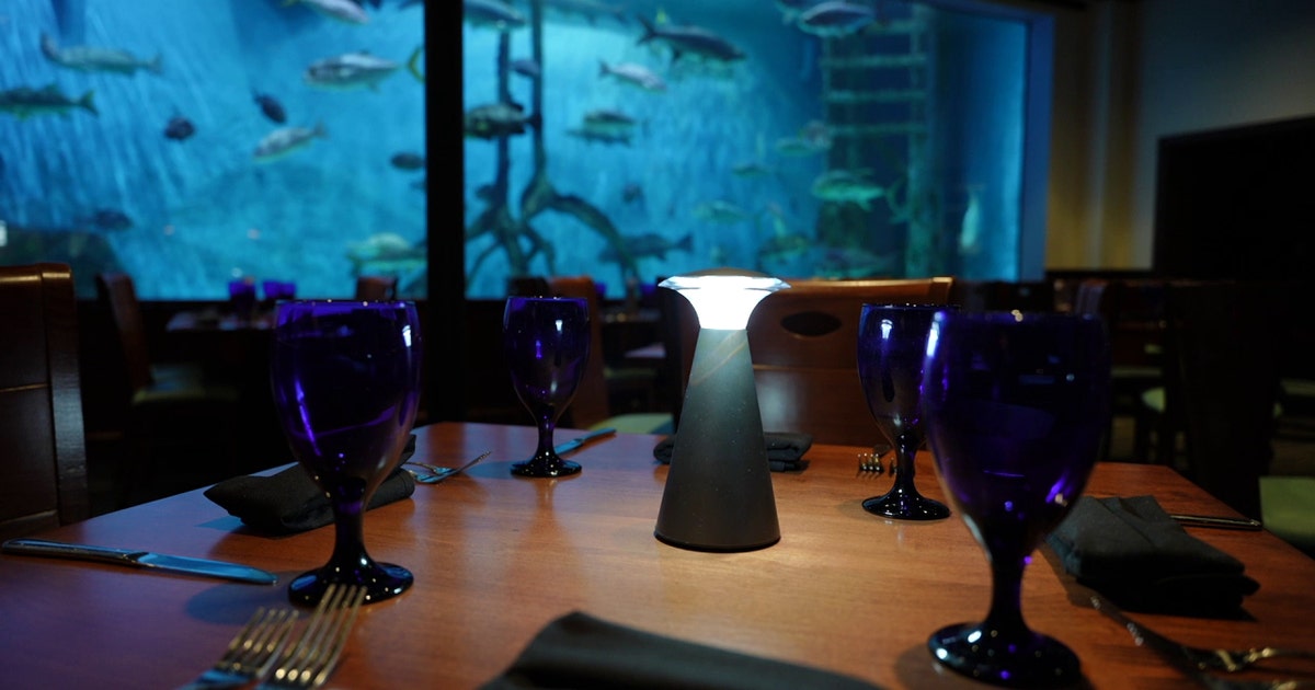 RumFish Grill gives guest an under the sea view from its 33,000 gallon ...