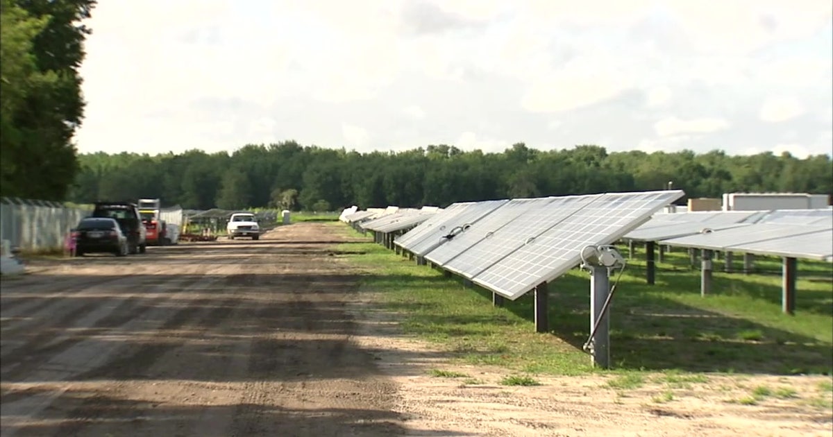 Commissioners consider 1,400-acre solar farm in Lakeland | FOX 13 Tampa Bay