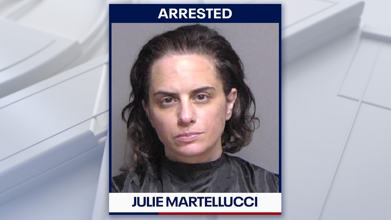 Florida burglary suspect batters deputy after trying to hide from law ...