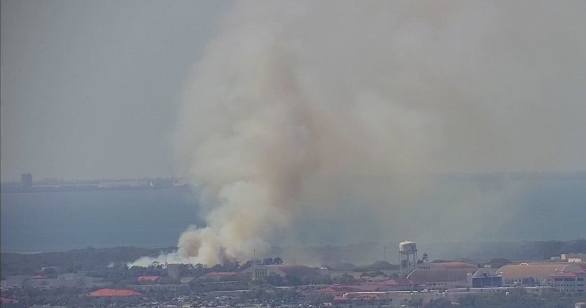 Smoke visible from prescribed burn at MacDill AFB, officials say no ...
