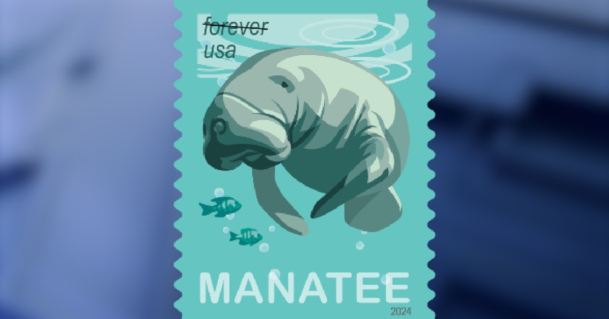 Florida manatees get the spotlight on USPS' newest postage stamp | FOX ...