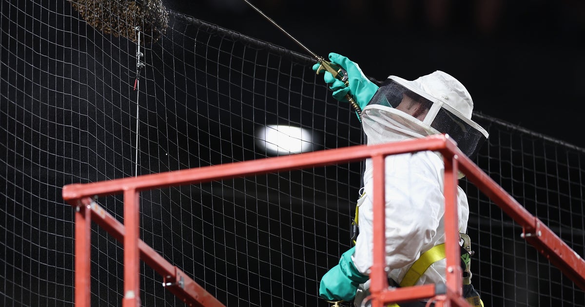 Bee-ware! Swarm of bees causes delay at Diamondbacks-Dodgers game | FOX ...
