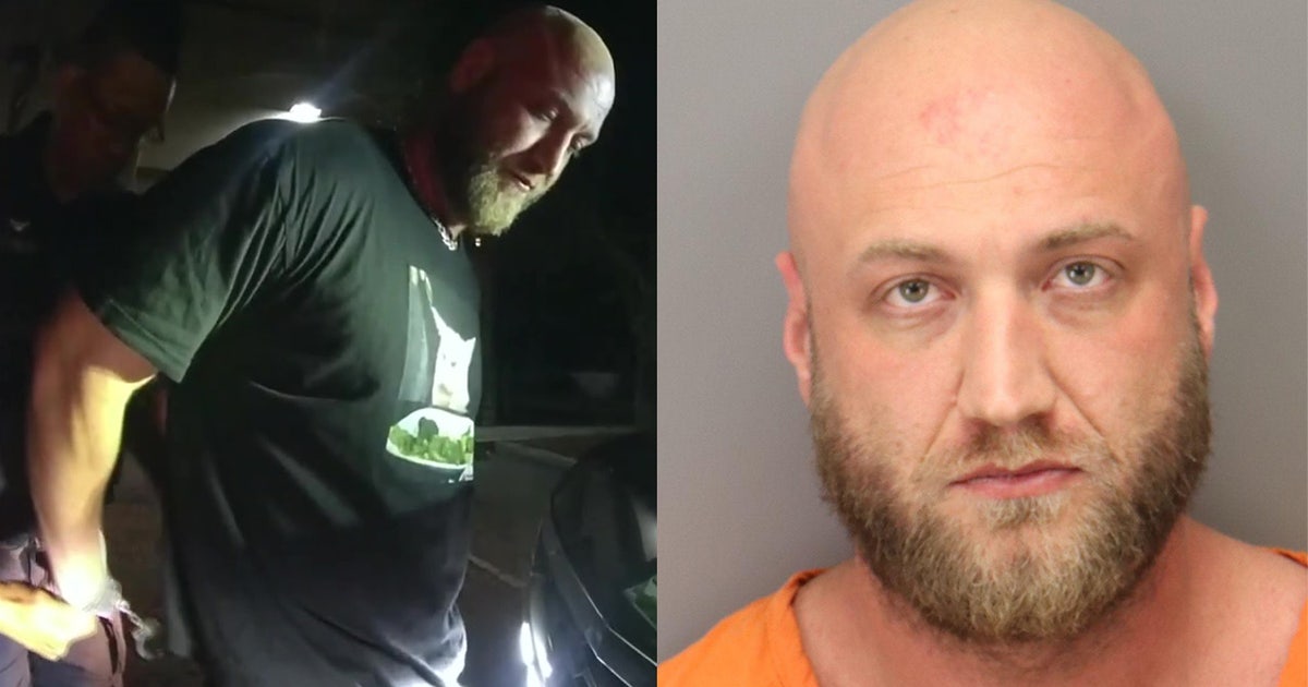 Hulk Hogan’s son pleads guilty to DUI following last year's Clearwater ...