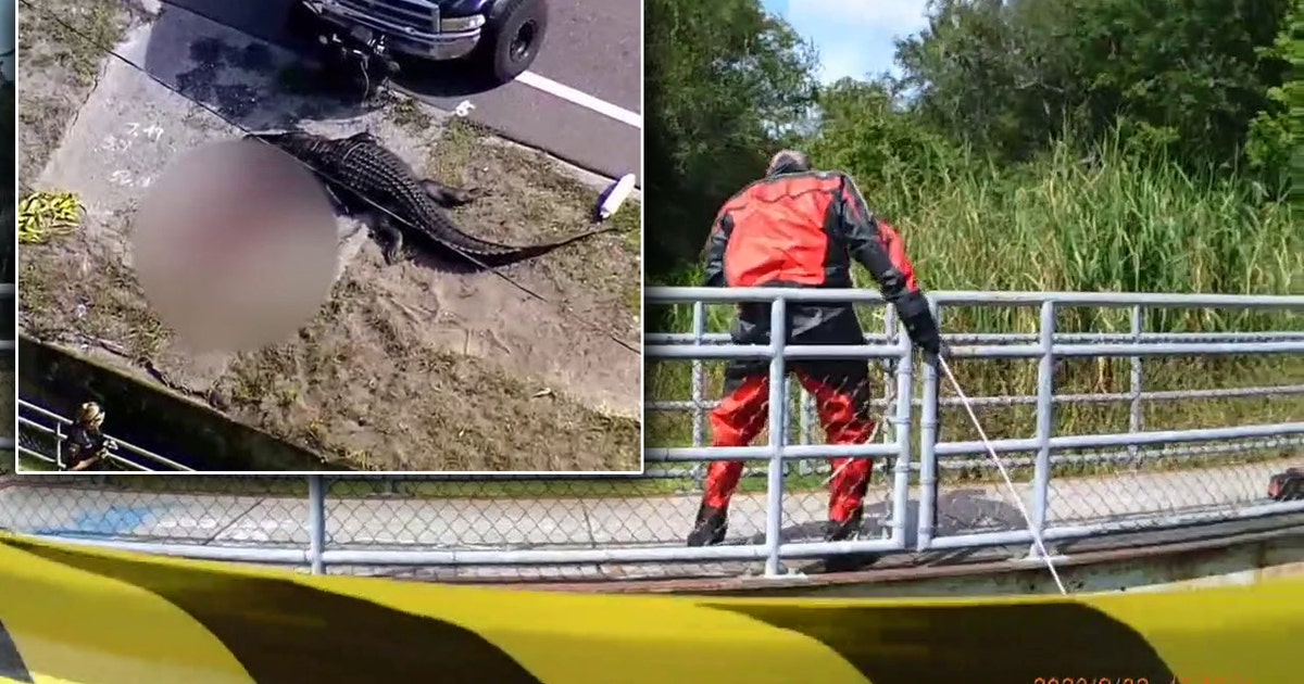 WATCH: Bodycam footage shows aftermath of deadly Largo gator attack ...