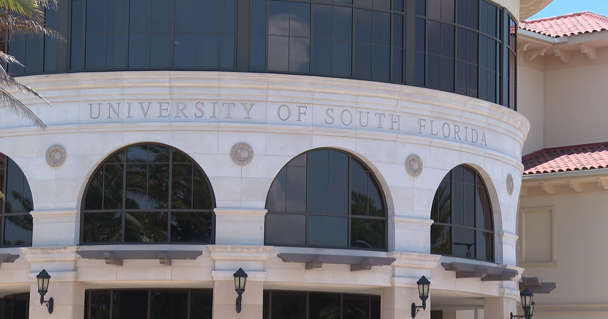 USF cybersecurity training program targeting veterans, first responders ...