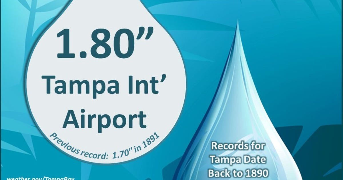 Tampa Bay Area rainfall records broken this week | FOX 13 Tampa Bay