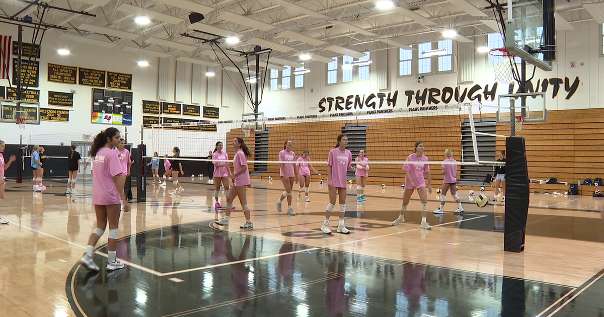 Plant High Volleyball Hoping To Repeat As State Champs Fox 13 Tampa Bay