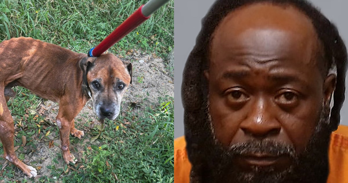 Florida man accused of ‘horrific’ animal abuse at Polk County rental ...